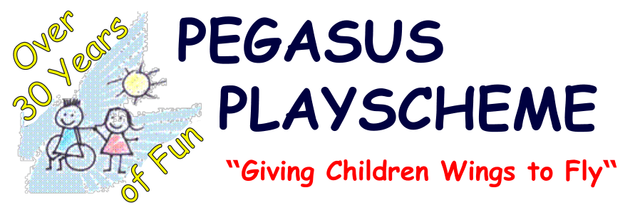 Youth Forum - Pegasus Playscheme
